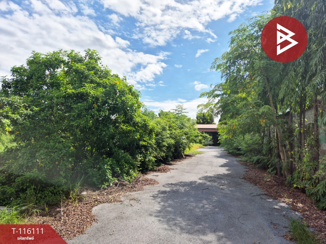 ขายที่ดินสวย เนื้อที่ 6 ไร่ 3 งาน 6.3 ตารางวา ปากเกร็ด นนทบุรี ถนน ...