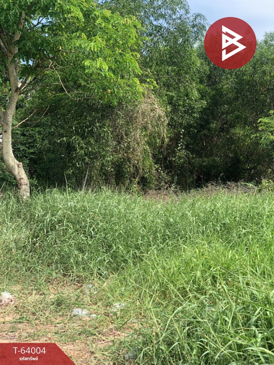 ขายที่ดิน เนื้อที่ 1 งาน คลองหลวง ปทุมธานี