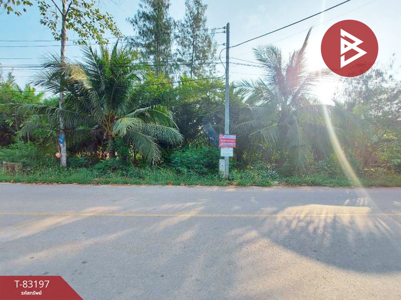 ขายที่ดิน เนื้อที่ 3 งาน 23.6 ตารางวา ลาดใหญ่ สมุทรสงคราม